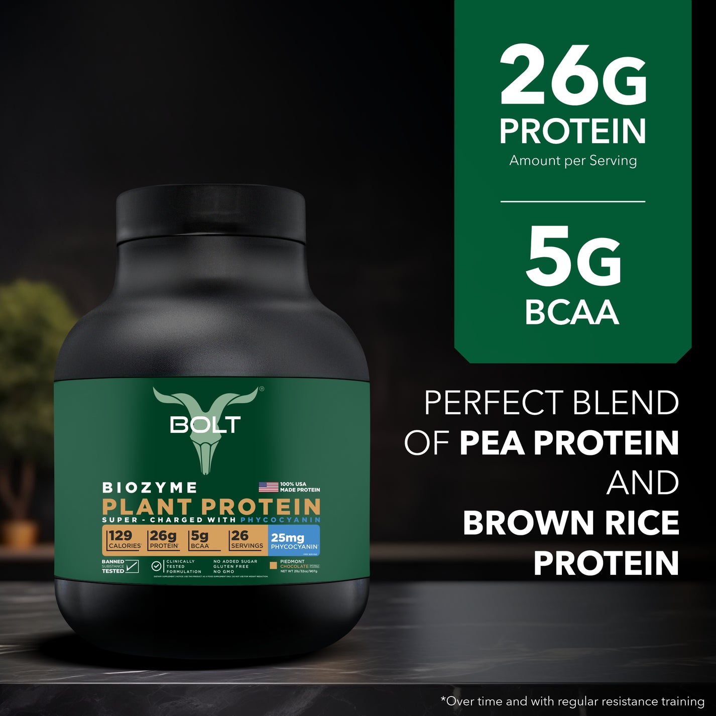 Buy Best Biozyme Plant Based Protein Powder